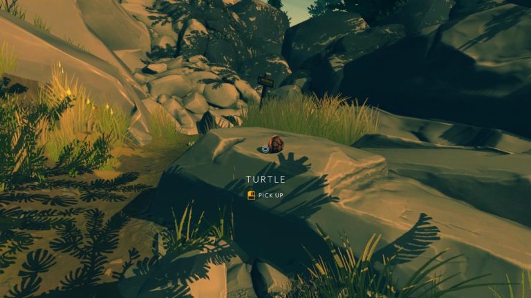 Firewatch: All Turtle Locations – KosGuides