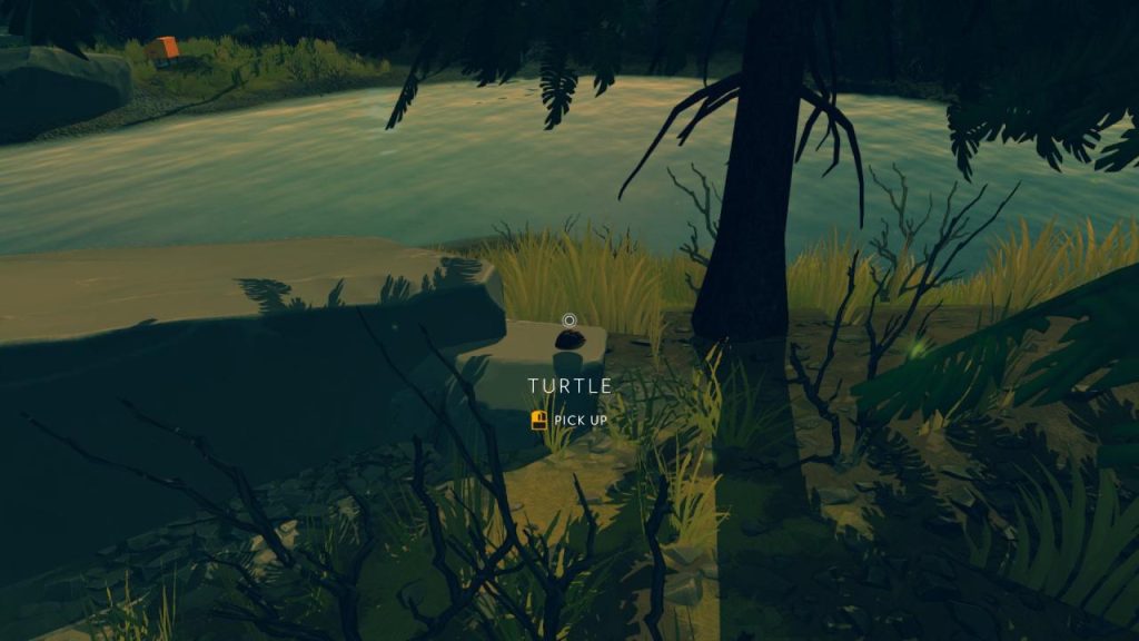 Firewatch: All Turtle Locations – KosGuides
