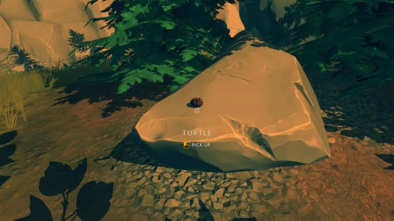 Firewatch: All Turtle Locations – KosGuides