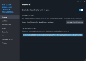 The Elder Scrolls IV: Oblivion Remastered – How to Run the Script ...